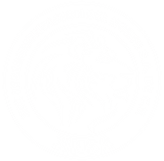 VAYREMEX Valvulas de seguridad, alivio y reductoras de presion - JINSA